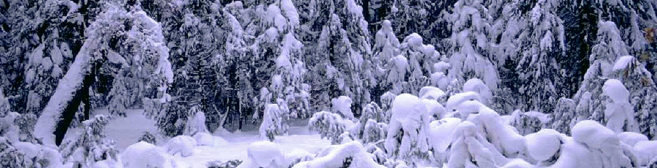 December 2015 – HSLS Update