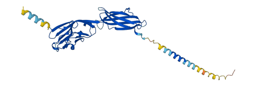 AlphaFold Protein Structure Database: A Must-Have Tool for Biomedical ...